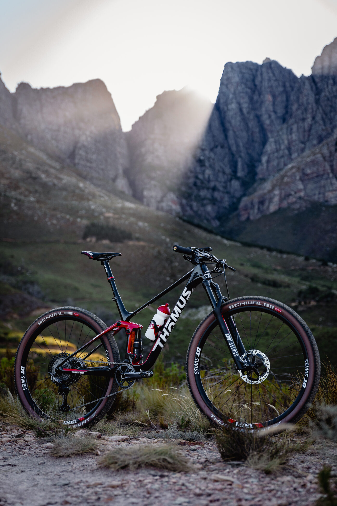 Lightrider E Ultimate • Thömus